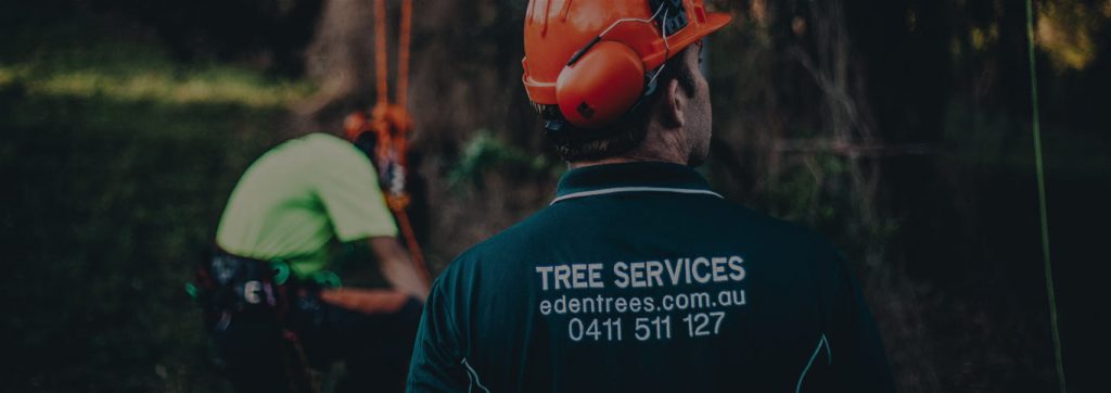 Tree Service Safety Guarantee - Eden Trees Arboriculture Services