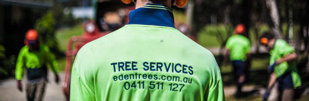about eden trees - Eden Trees Arboriculture Services