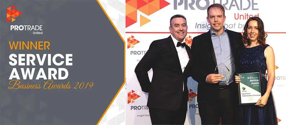 Tree Removal Logan | Tree Removal Brisbane | Tree Lopping | Arborist