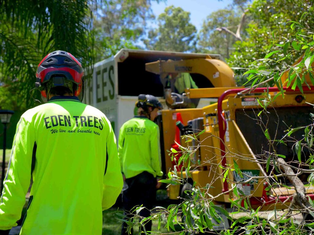 Tree-Removal-Quotes-Eden-Trees - Eden Trees Arboriculture Services